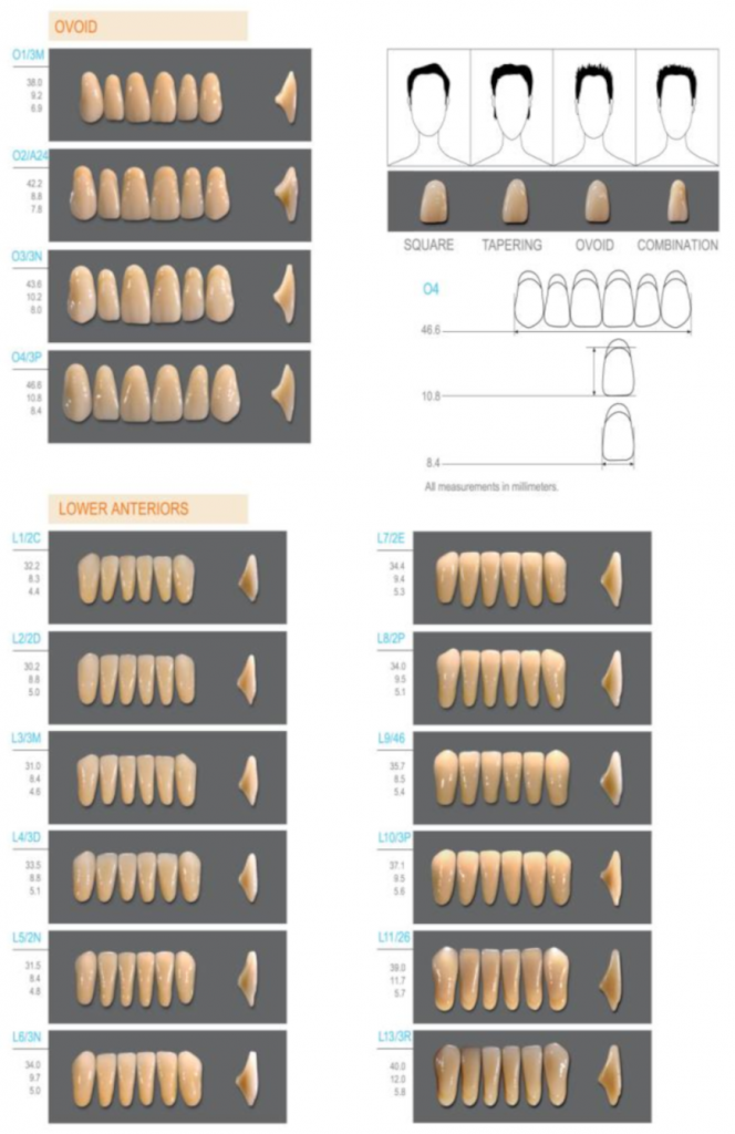 KAITONG™ Acrylic Teeth – Phoenix Dental Supply
